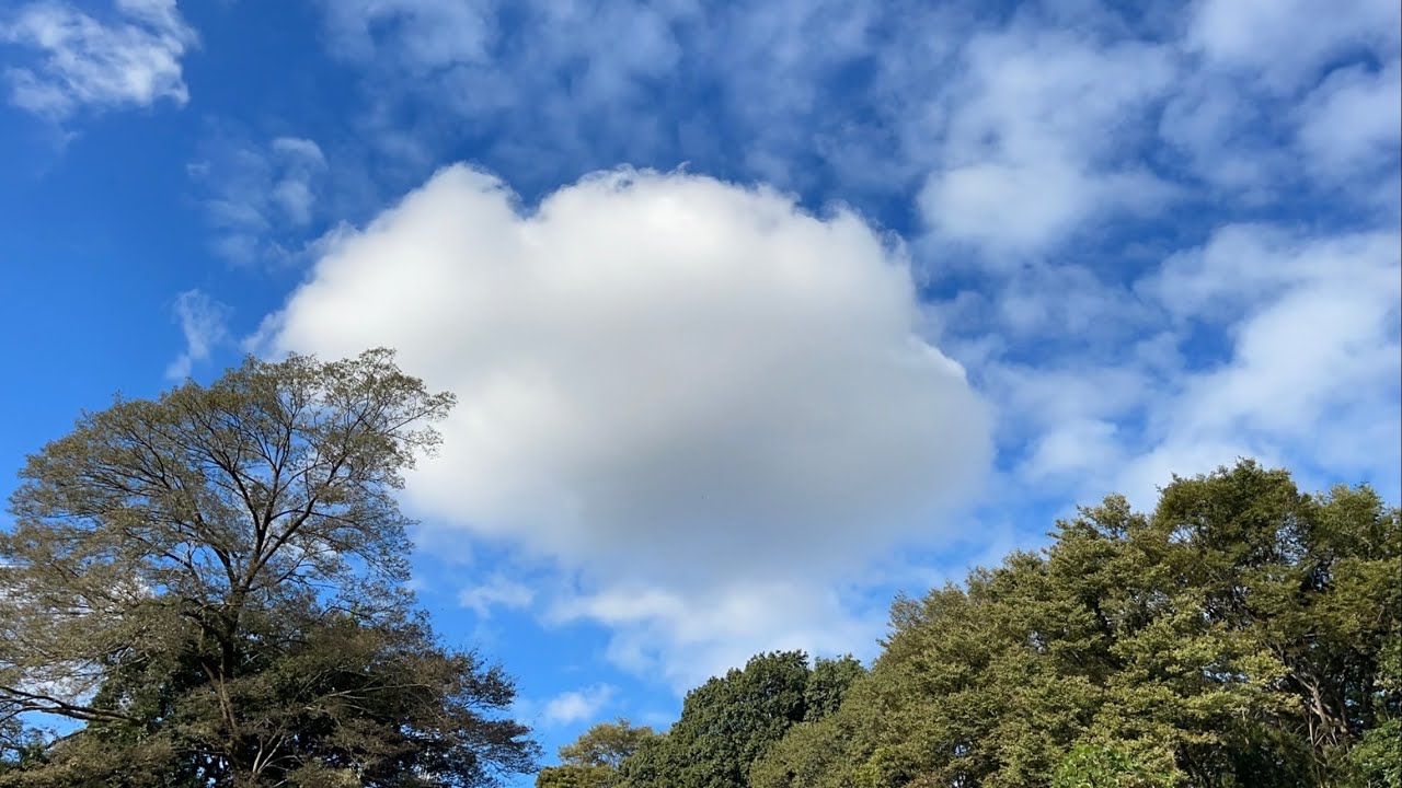 2022年10月16日 cloud time lapse ,雲（くも）,구름 - YouTube