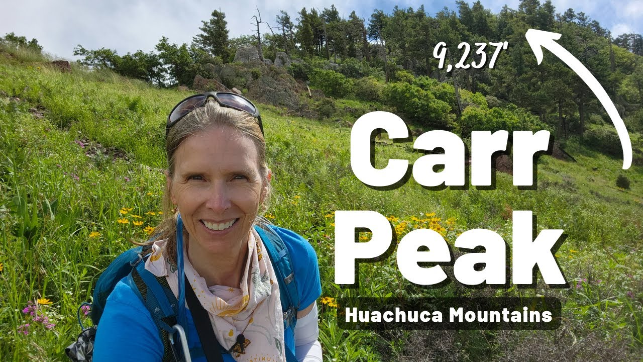 Carr Peak 9,237' | 2nd Highest Peak in the Huachuca Mountains | Sierra ...