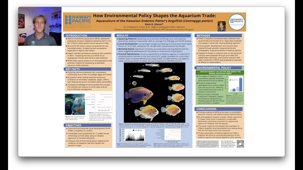 Potter's Angelfish Aquaculture - AFS 2024 Poster Presentation - YouTube
