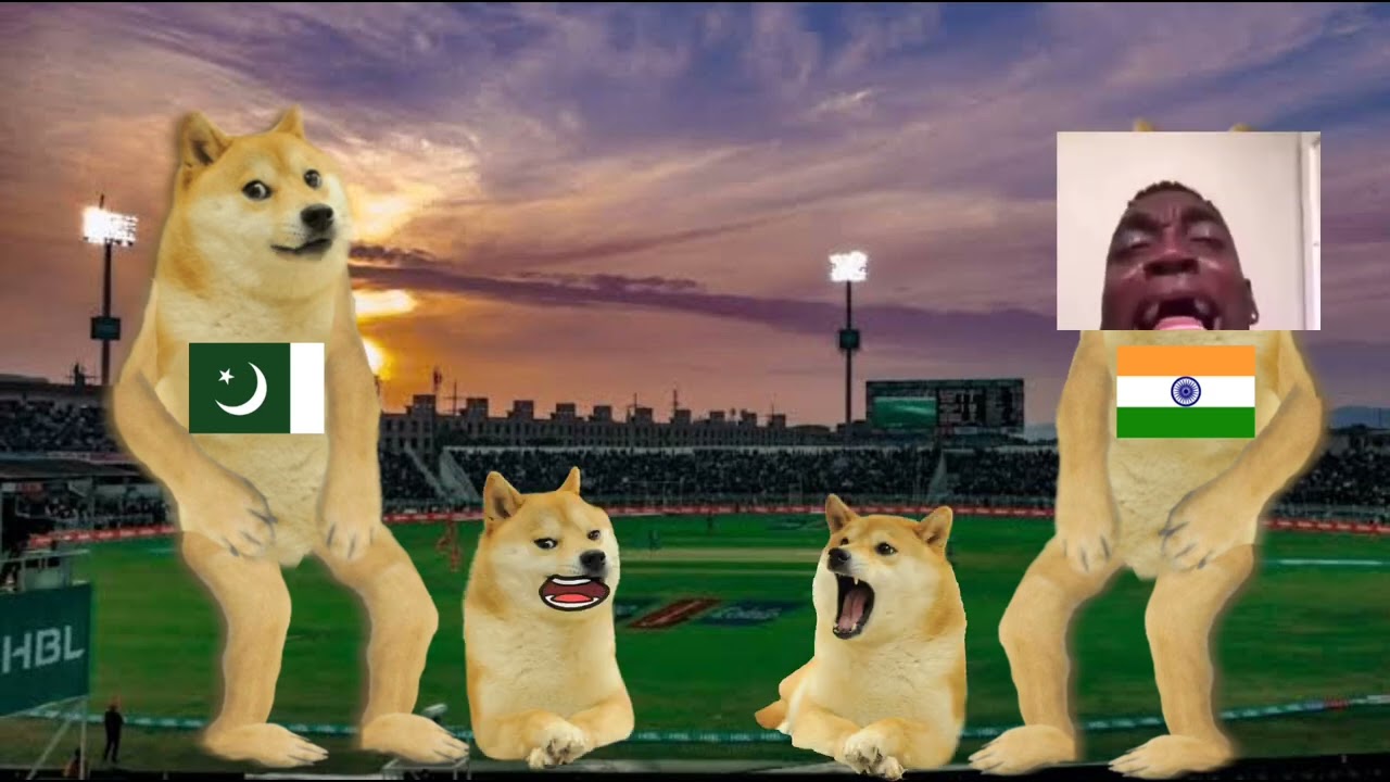 PAKISTANI DOGESH || MEME ON PAKISTAN INDIA MATCH #dogesh #dogeshmemes ...