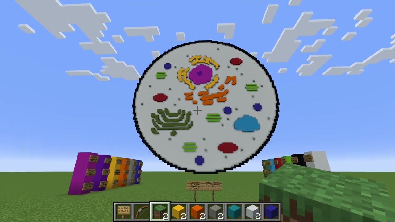AP Biology Minecraft Cell Project Showcase - Aditya Choubal - YouTube