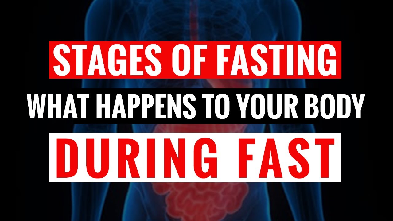 Stages of Fasting | What Happens During a Fast? - YouTube