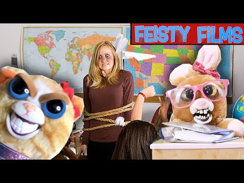Feisty Pets Classroom Chaos Compilation!