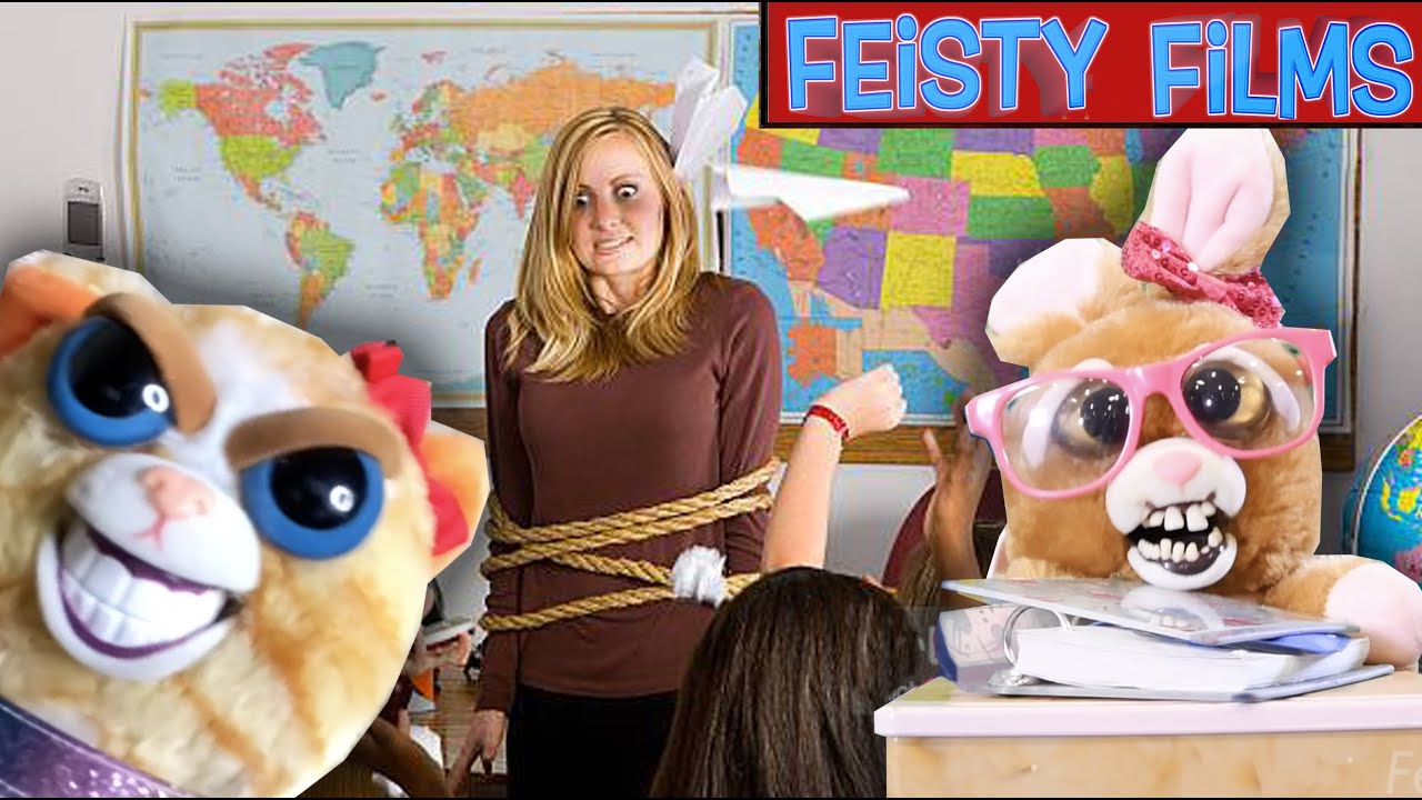 Feisty Pets Classroom Chaos Compilation! - YouTube