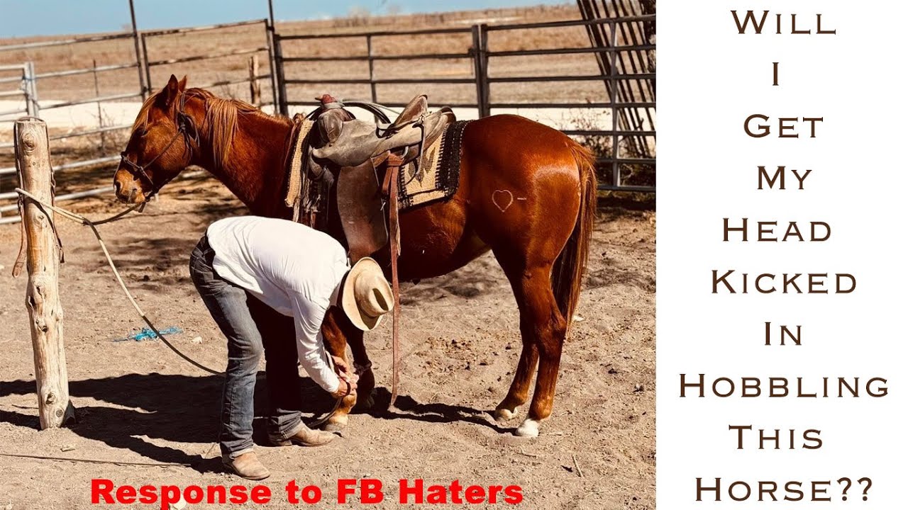 Can You Get Kicked Hobbling???? - YouTube