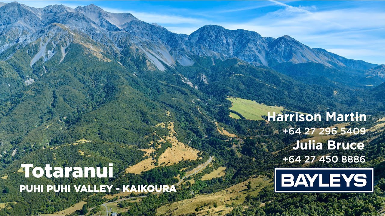 Totaranui - Puhi Puhi Valley, Kaikoura - YouTube