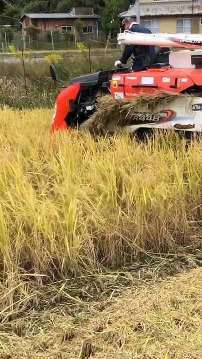 Kubota ER448 クボタの4条48馬力コンバインで刈り取りSTAR🏃‍♂️ - YouTube