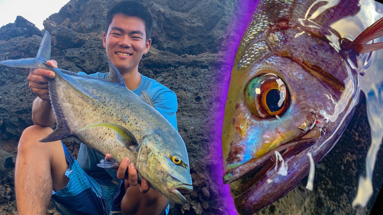 7lb Omilu and new species! | Wahanui - YouTube
