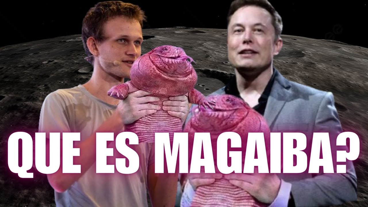 MAGAIBA la MEME COIN creada en ARGENTINA 🐸 - 8 cripto - YouTube