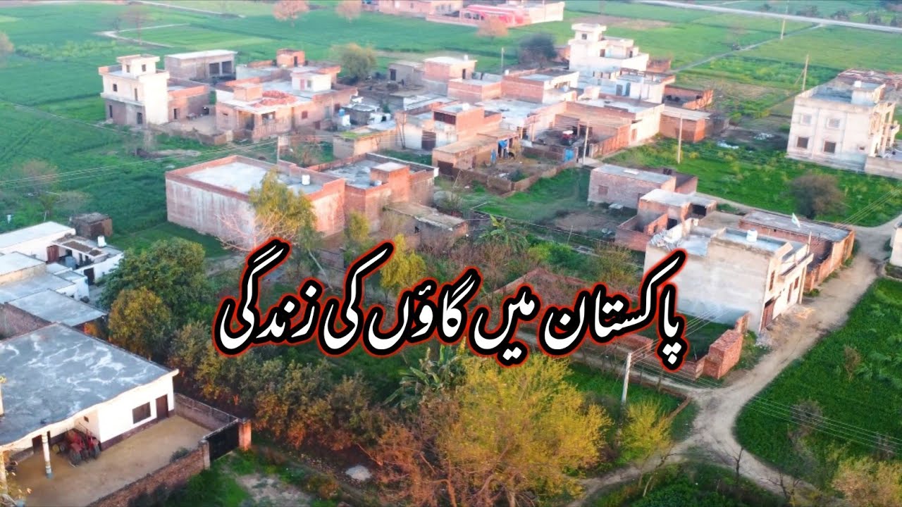 Village Life in Sialkot Pakistan | Pak Village Vlog | Zia Ahmad Awan ...