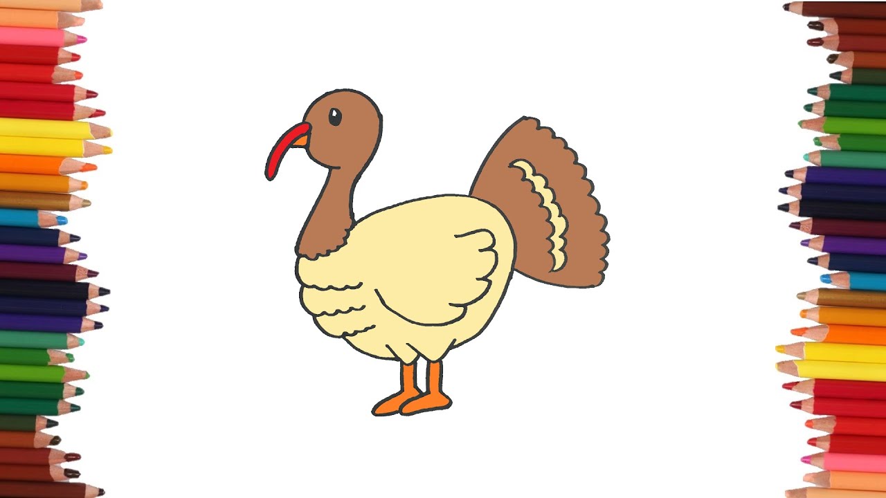 Como dibujar un pavo | Cómo dibujar Animales para niños - YouTube