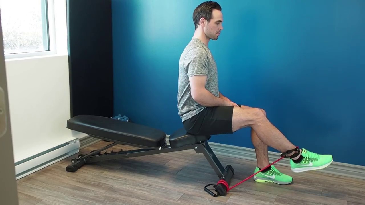 1.03 Renforcement quadriceps - Leg extension - YouTube