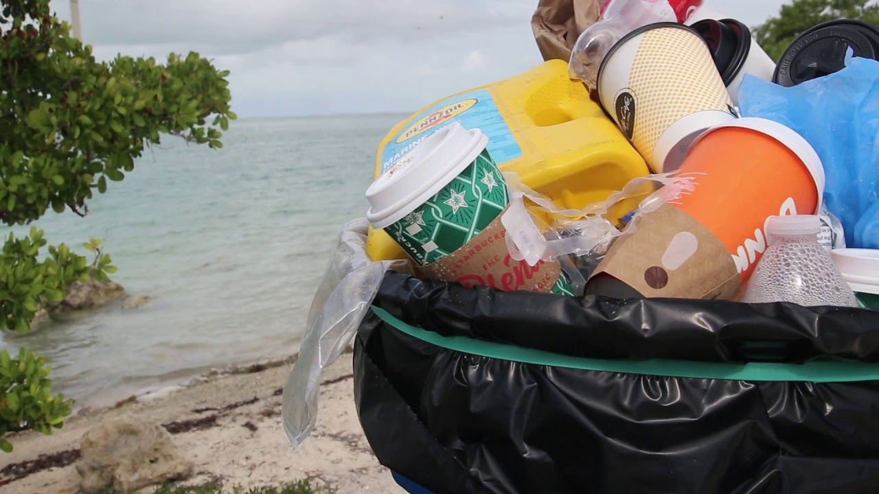 Clean Ocean Expeditions, Volunteer Day 1: Indian Key Beach - YouTube