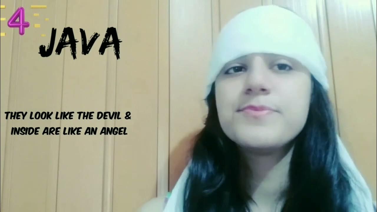 types of people for programmer - YouTube