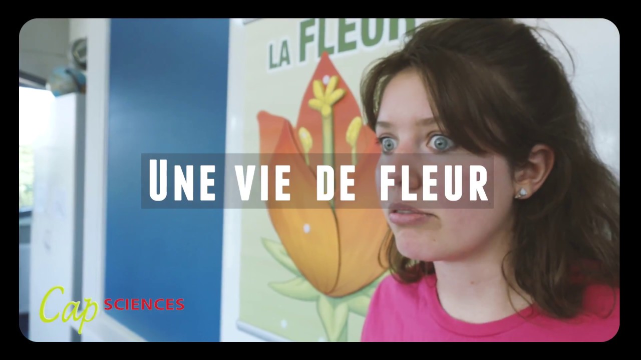 Animation scolaire Cap Sciences: 'Une vie de fleur' - YouTube