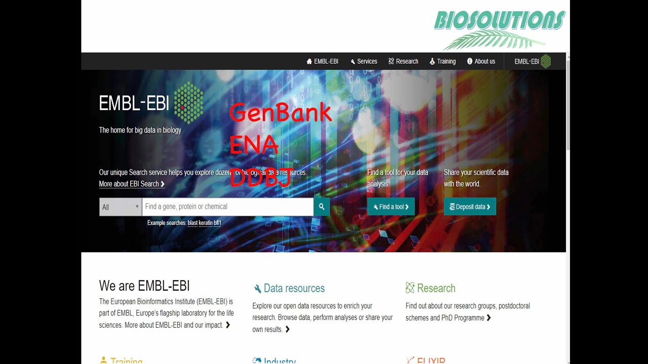 HINDI- PRIMARY NUCLEOTIDE DATABASES -#GENBANK, #ENA-EMBL,#DDBJ ...