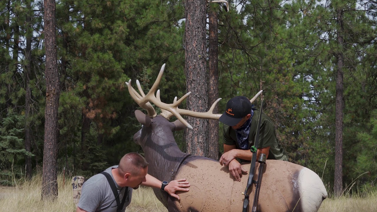 Elk Anatomy with Joel Turner and Dan Staton - YouTube