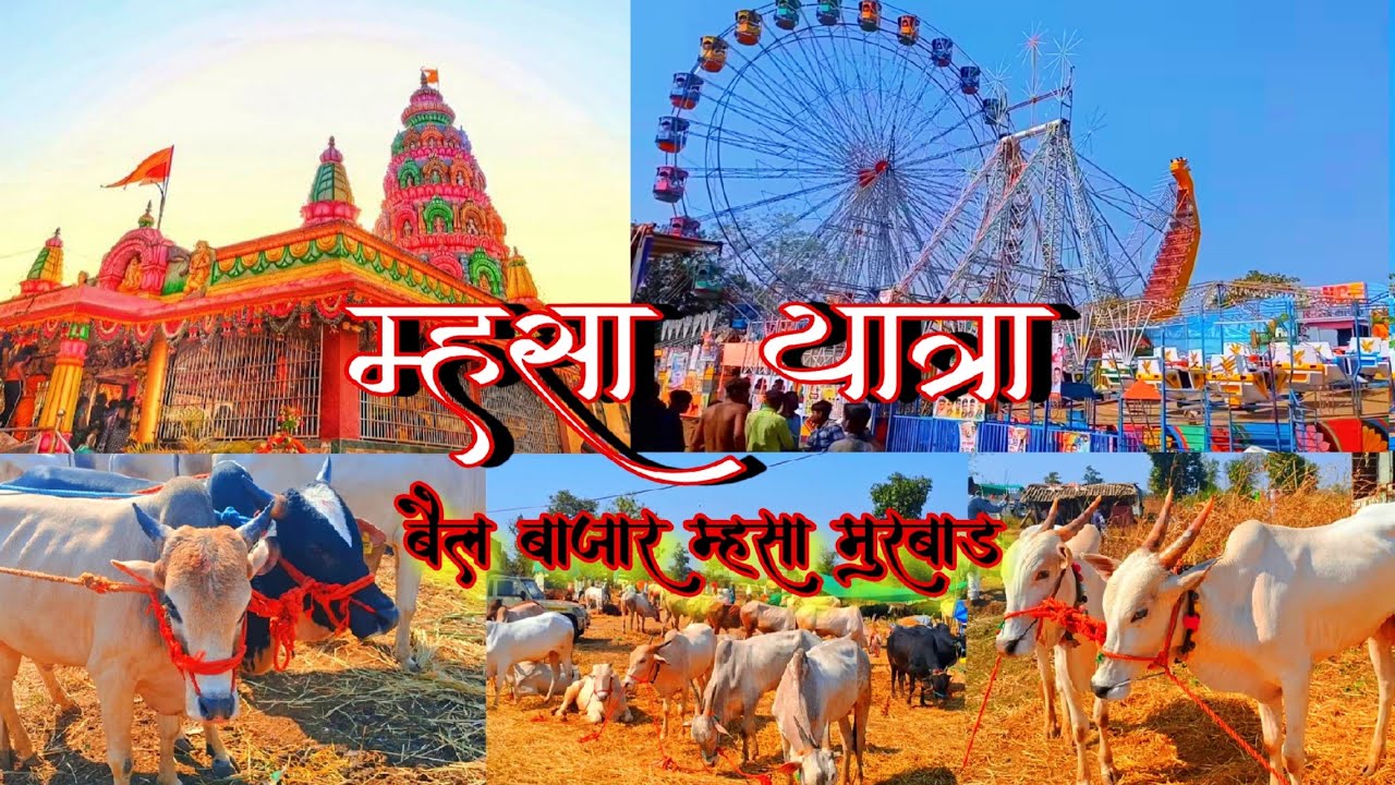म्हासा यात्रा मुरबाड | Mhasa Yatra | म्हासा बौल बाजार मुरबाड | Mhasa ...
