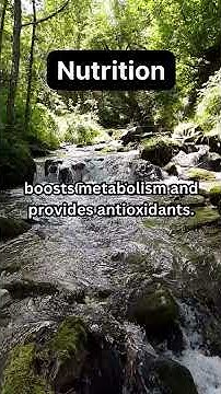 Nourish your body, feed your mind. Health is wealth! 🍏🧠💪 - YouTube