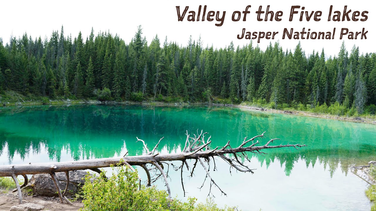 Valley of the Five Lakes | Jasper National Park | Alberta | Canada ...