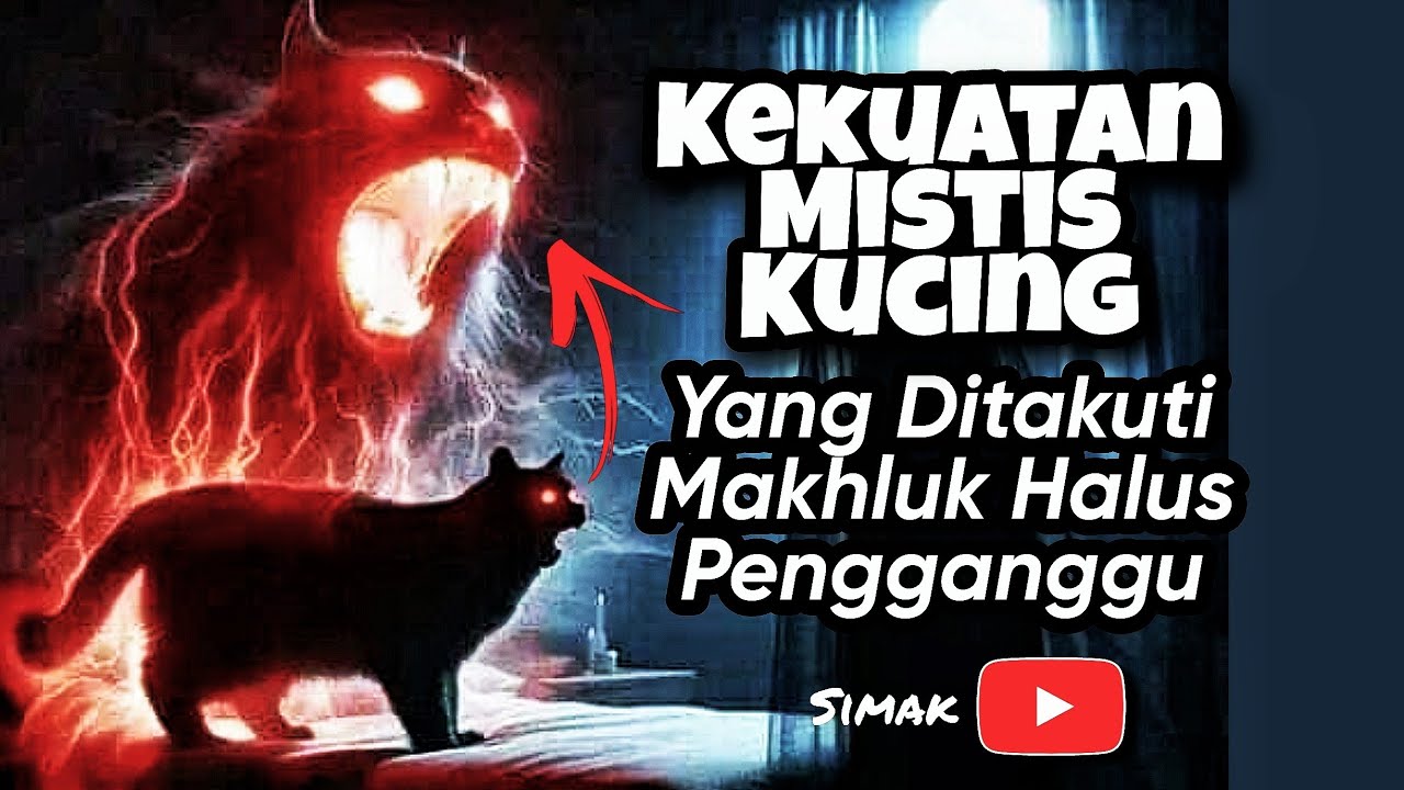 INILAH KEKUATAN MISTIS KUCING YANG DITAKUTI MAKHLUK HALUS PENGGANGGU ...