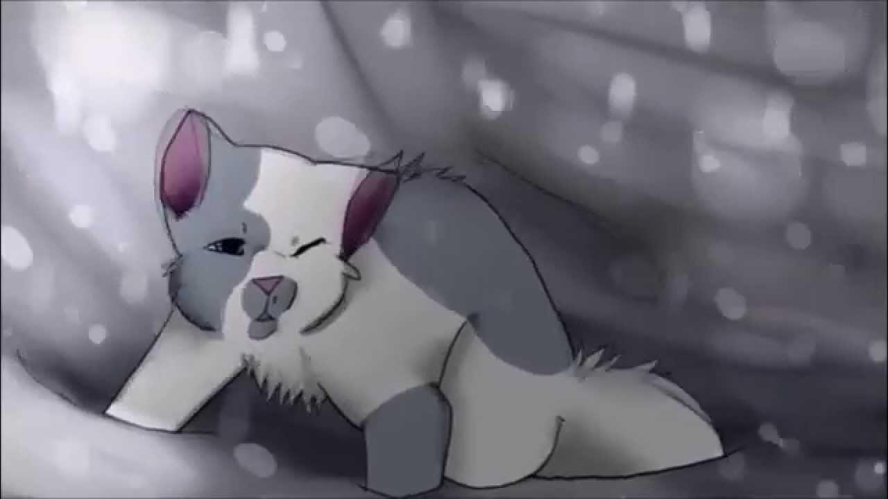 Mosskit's Blizzard (Complete Warriors Map) - YouTube