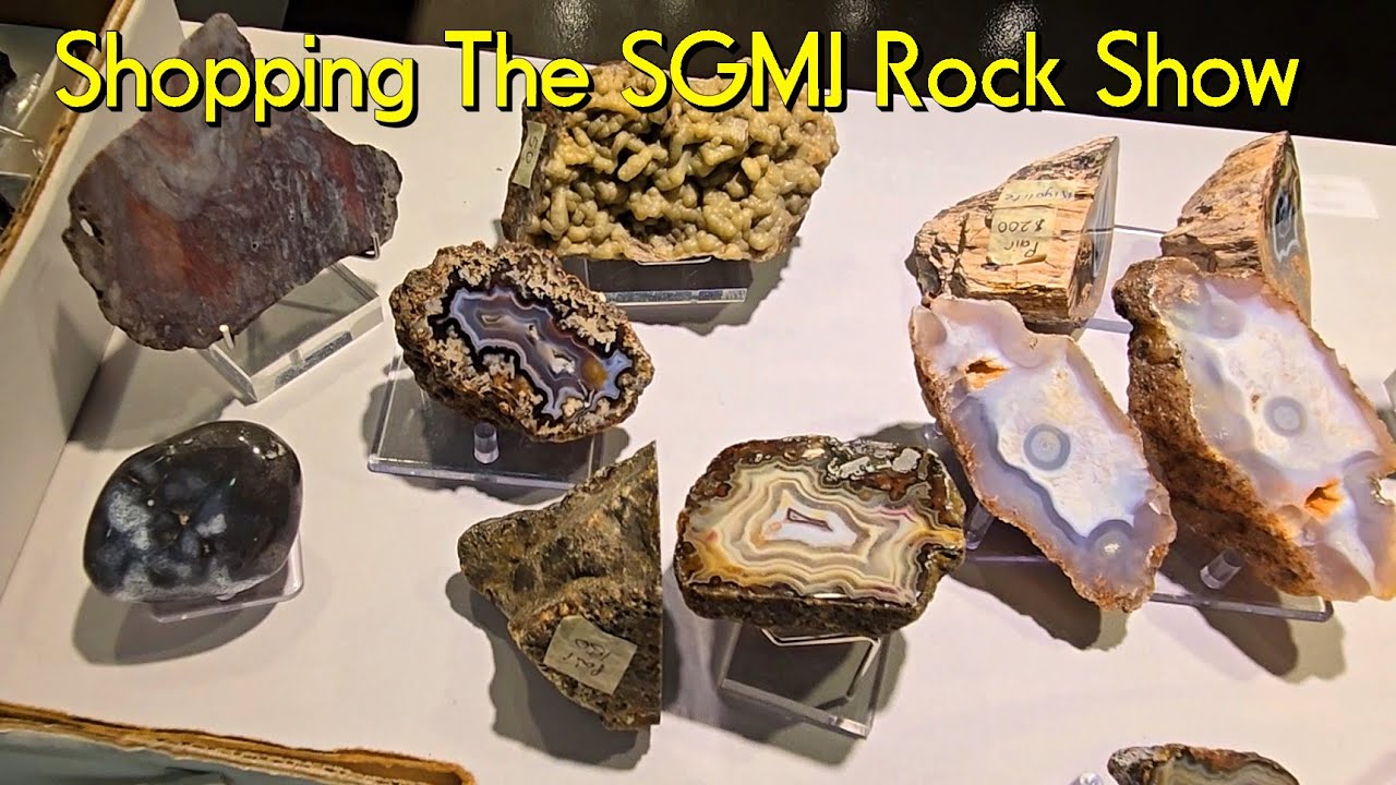 Tampa SGMJ Rock & Gem Show 2025: Amazing Stuff! #lapidary #jewelry # ...