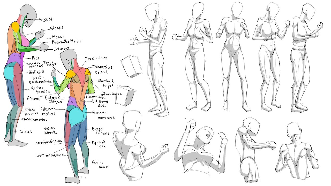 Daily Drawing Practice - YouTube