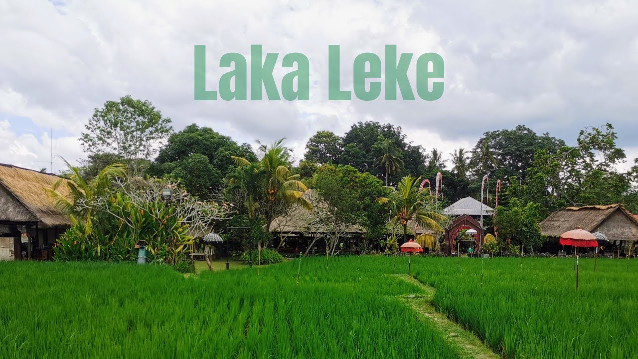 Walk into the hidden serenity of Ubud: Laka Leke [Bali Walk] - YouTube