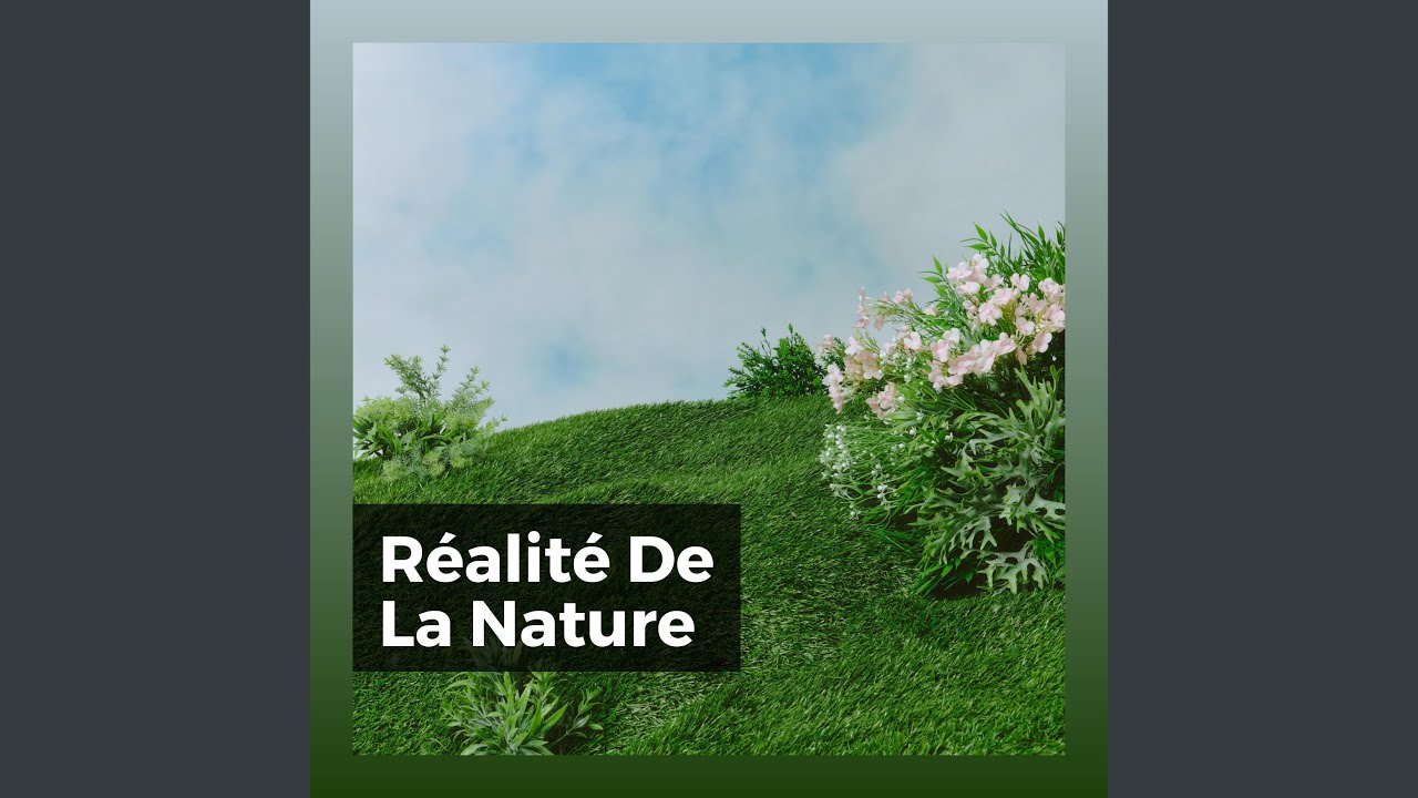 Calming Breeze, Pt. 14 - YouTube