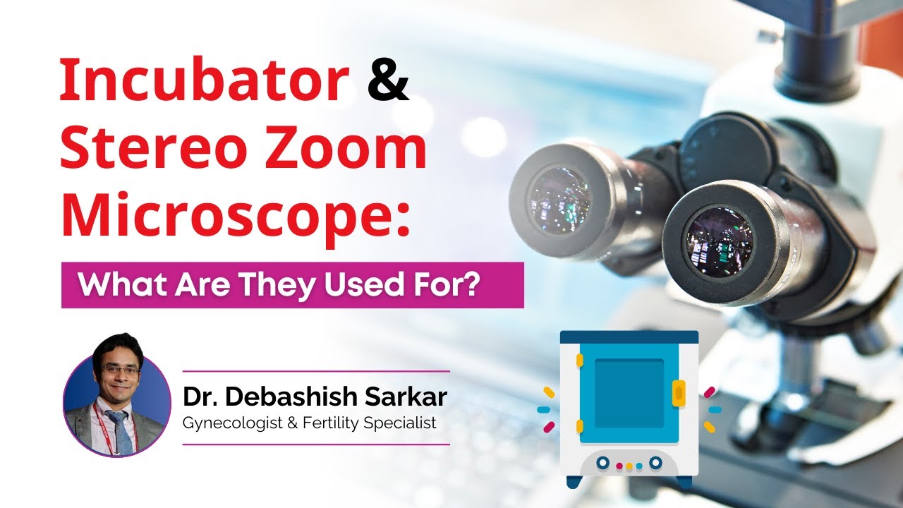 Incubator & Stereo Zoom Microscope: What Are They Used For? | Dr ...