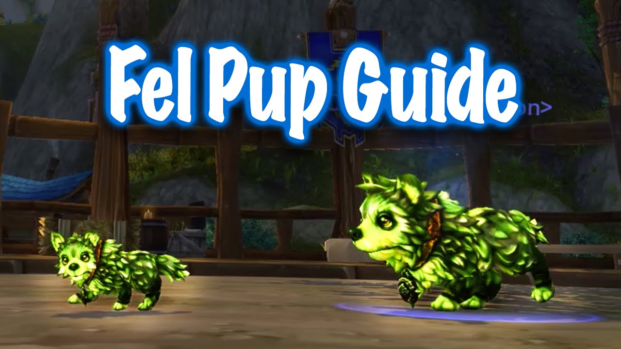 Jessiehealz - Fel Pup Pet Guide (6.2 World of Warcraft) - YouTube