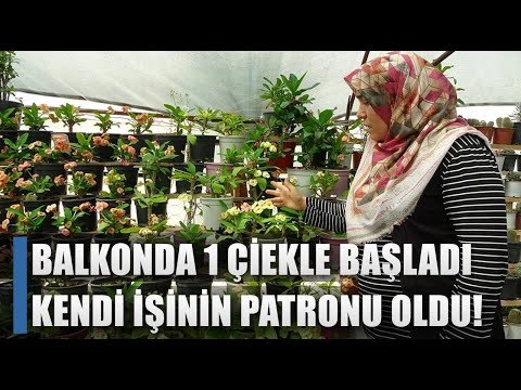Balkonunda 1 Çiçekle Başladı Patron Oldu! Serasını Kurdu Çiçek Üretiyor / AGRO TV HABER
