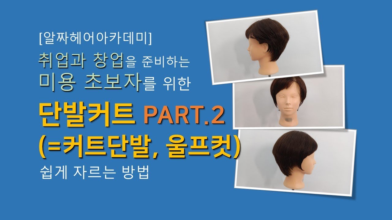 미용초보자도 쉽게 자를 수 있는 단발커트 Part 2 커트단발 울프컷 Youtube
