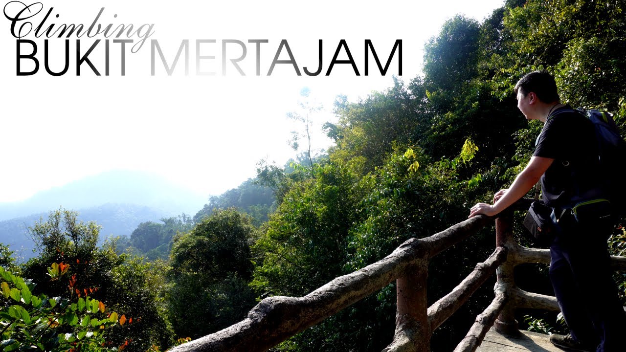 Climbing BUKIT MERTAJAM/TOKUN HILL // A Green Hike with a Great Payoff ...