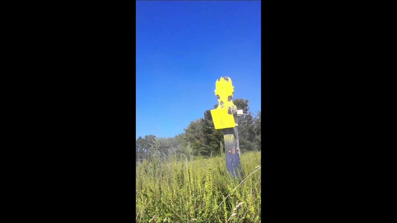 300 Win Mag 208 amax 500 yard headshots! - YouTube