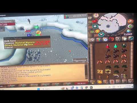 OSRS: - Skeleton Wyvern ! Guides - YouTube