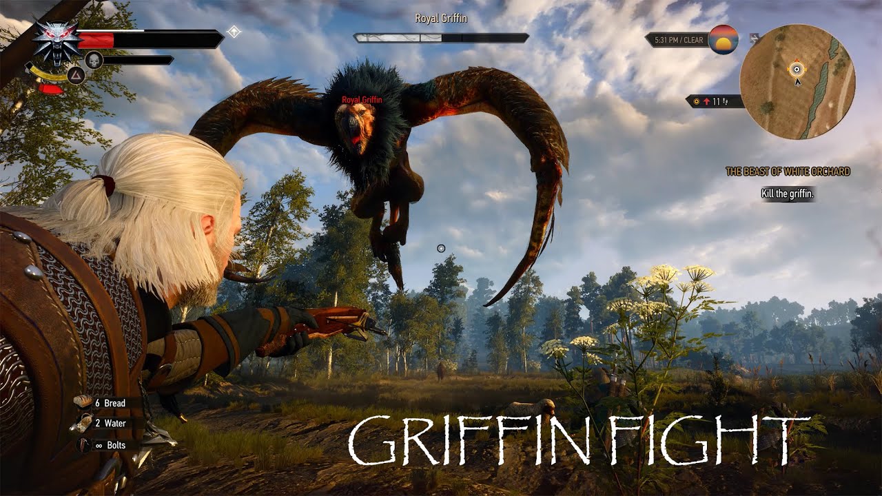 WITCHER 3 WILDHUNT | ROYAL GRIFFIN BOSS FIGHT | THE BEAST OF WHITE ...