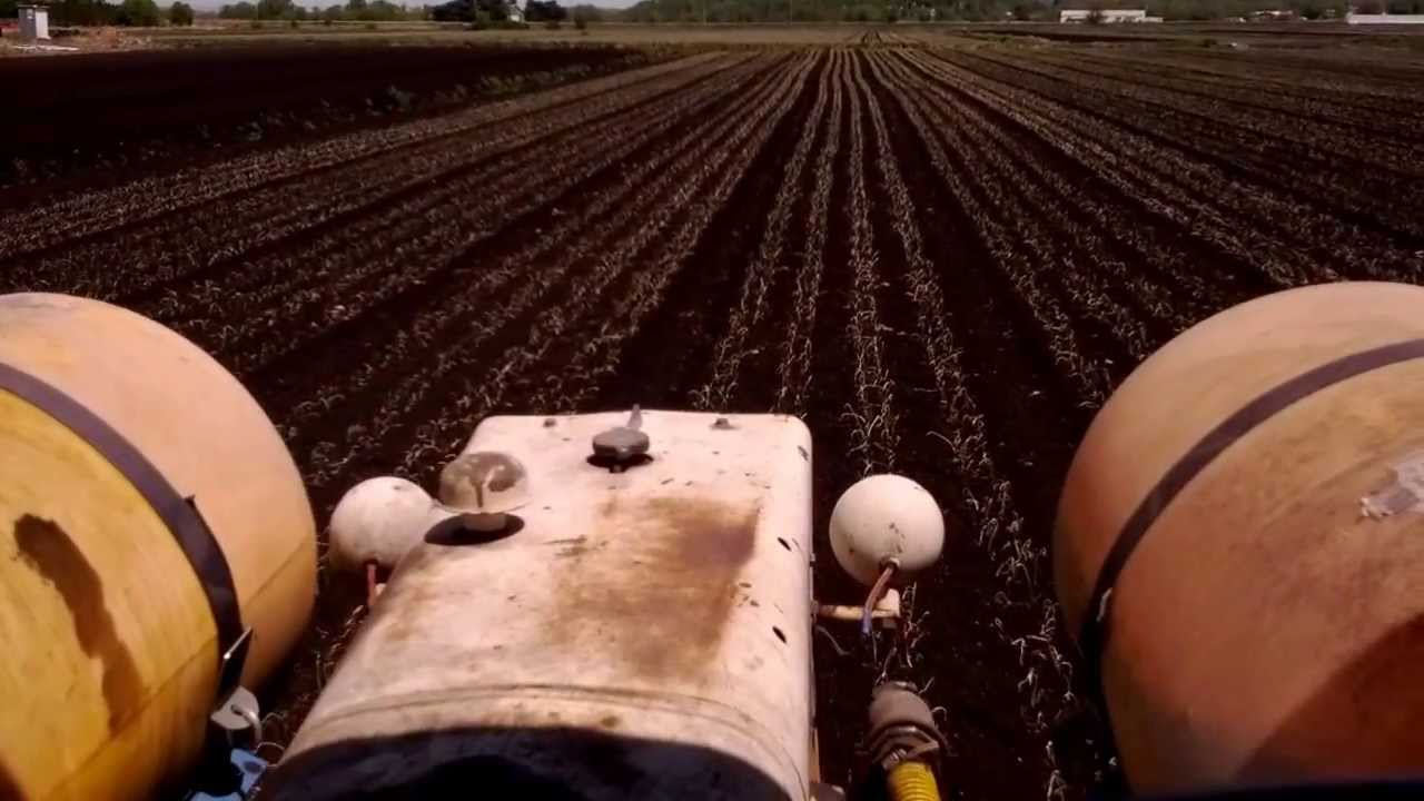 Spraying onions on 5-7-13 widescreen with AC/DC blaring in NYS - YouTube