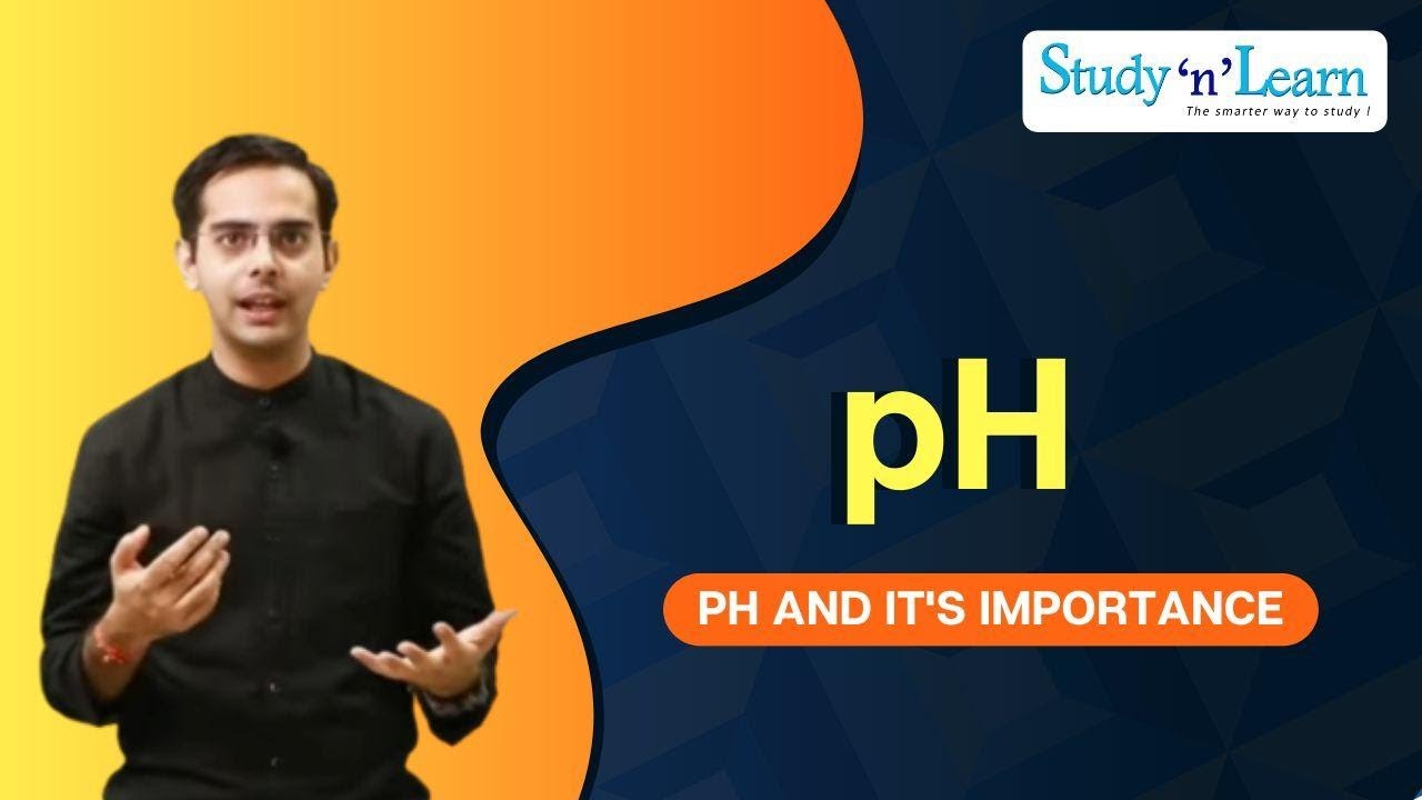 What Is PH Importance Of PH In Everyday Life Acid Bases And Salts