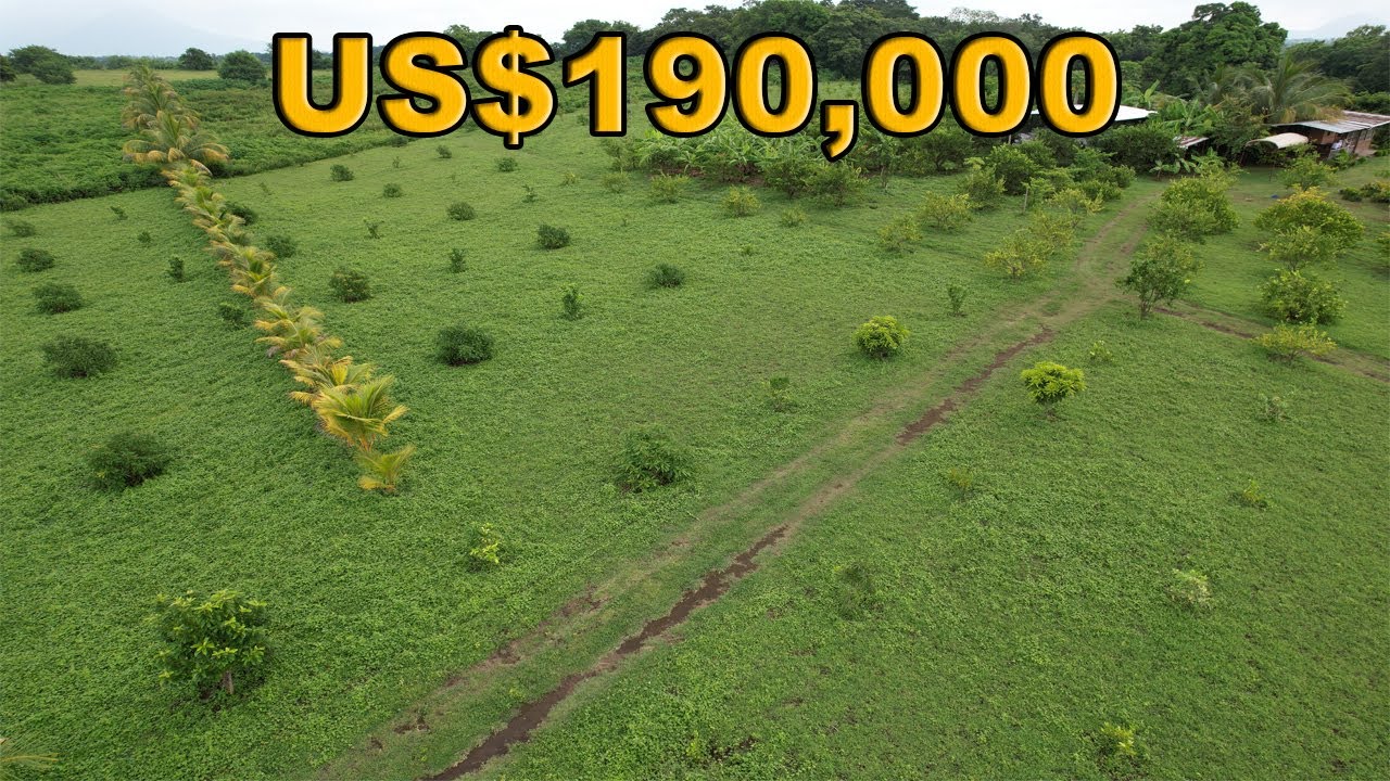 11 Acres Homestead Farm for Sale in Leon Nicaragua - YouTube