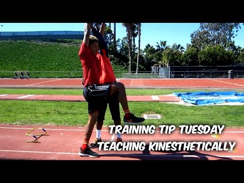 Training Tip Tuesday - Teaching Kinesthetically - YouTube