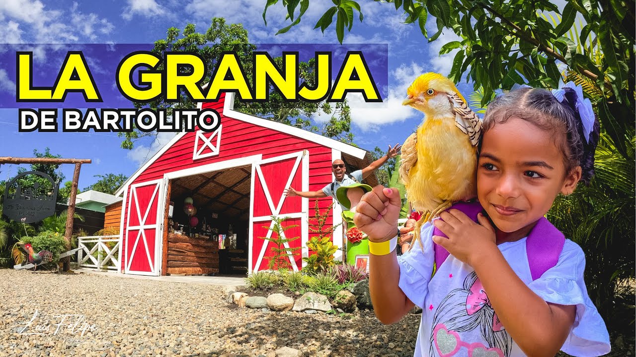 Un paseo increible conociendo animales asombrosos | JD Dominican Farm ...