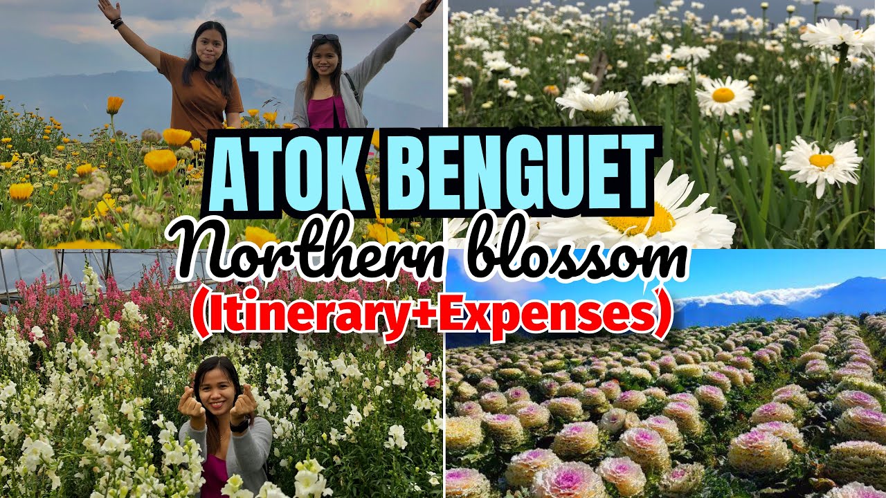 ATOK BENGUET NORTHERN BLOSSOM FLOWER FARM (Quick tour) 2023 - YouTube
