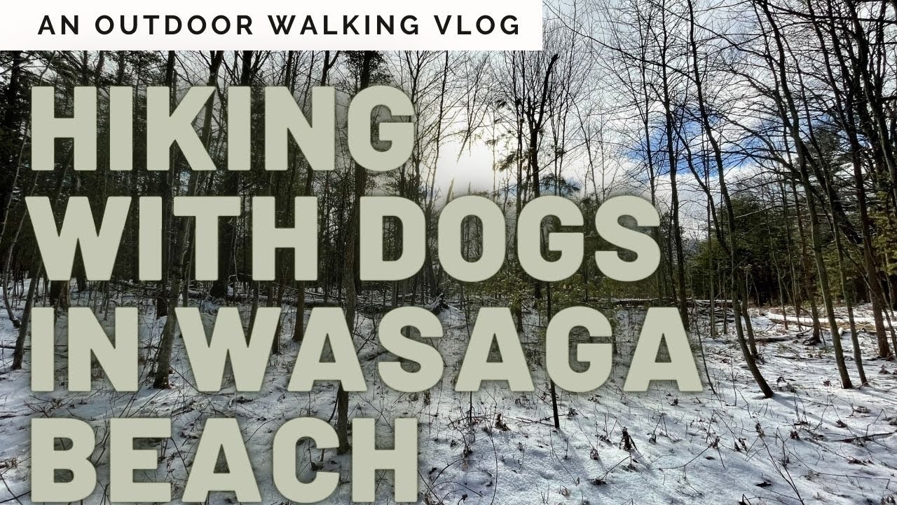 Dog hike in Wasaga Beach - YouTube