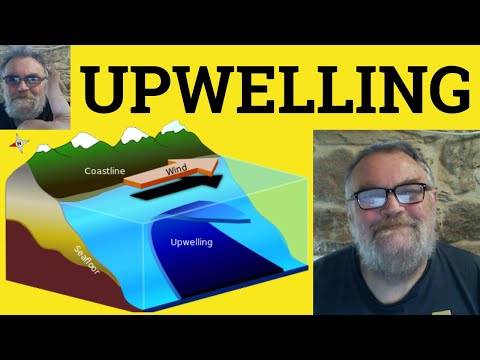 What Is The Definition Of Upwelling In Science
