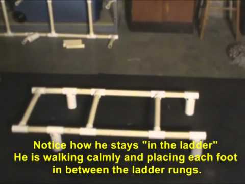 Physical Therapy Ladder - YouTube