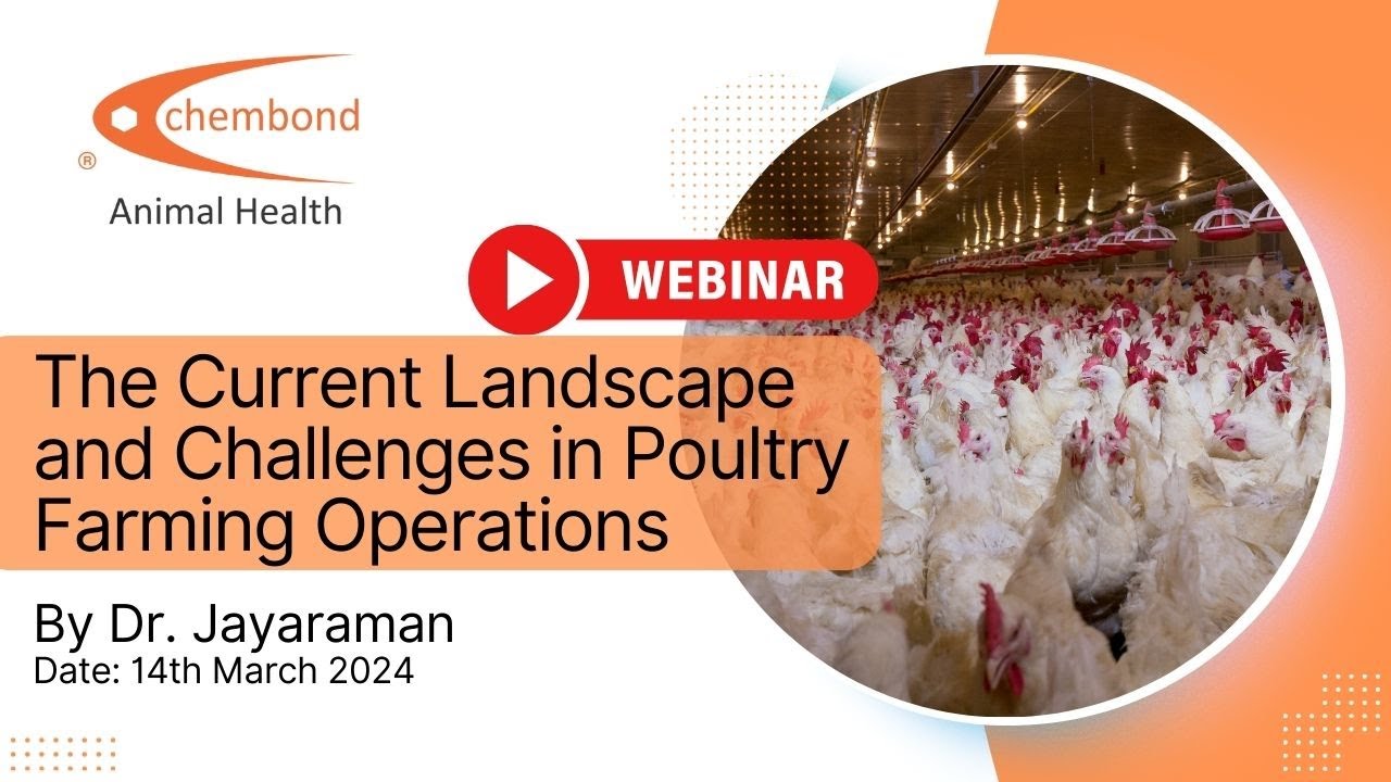 Webinar: Current Landscape and Challenges in Poultry Farming Operations ...