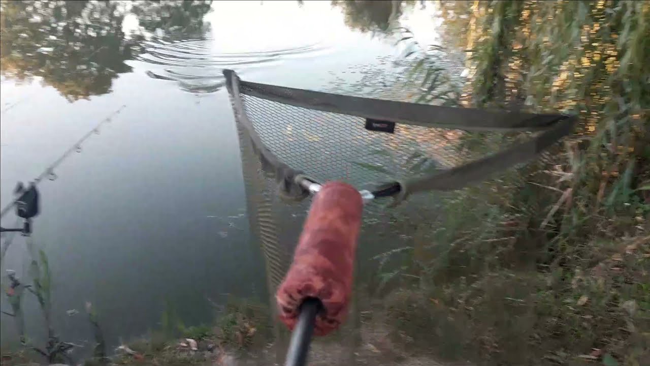 Letnje pecanje babuške,amura i šarana ! Summer fishing for babushka ...