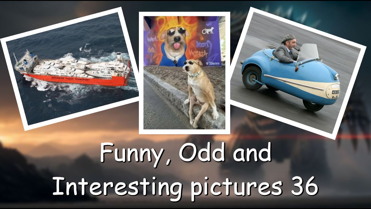 Funny, Odd, Interesting Pictures Video 36 - YouTube